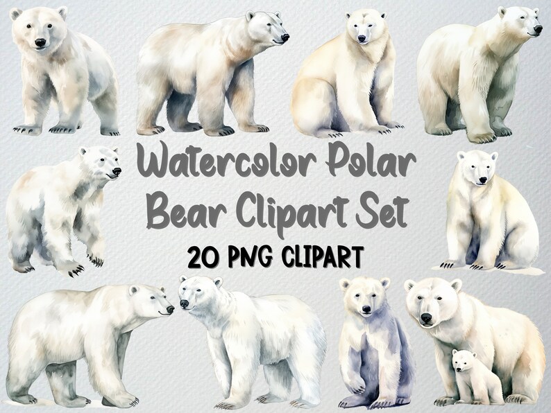 Watercolor Polar Bear Clipart Set of 20 PNG Files, Winter Animals ...