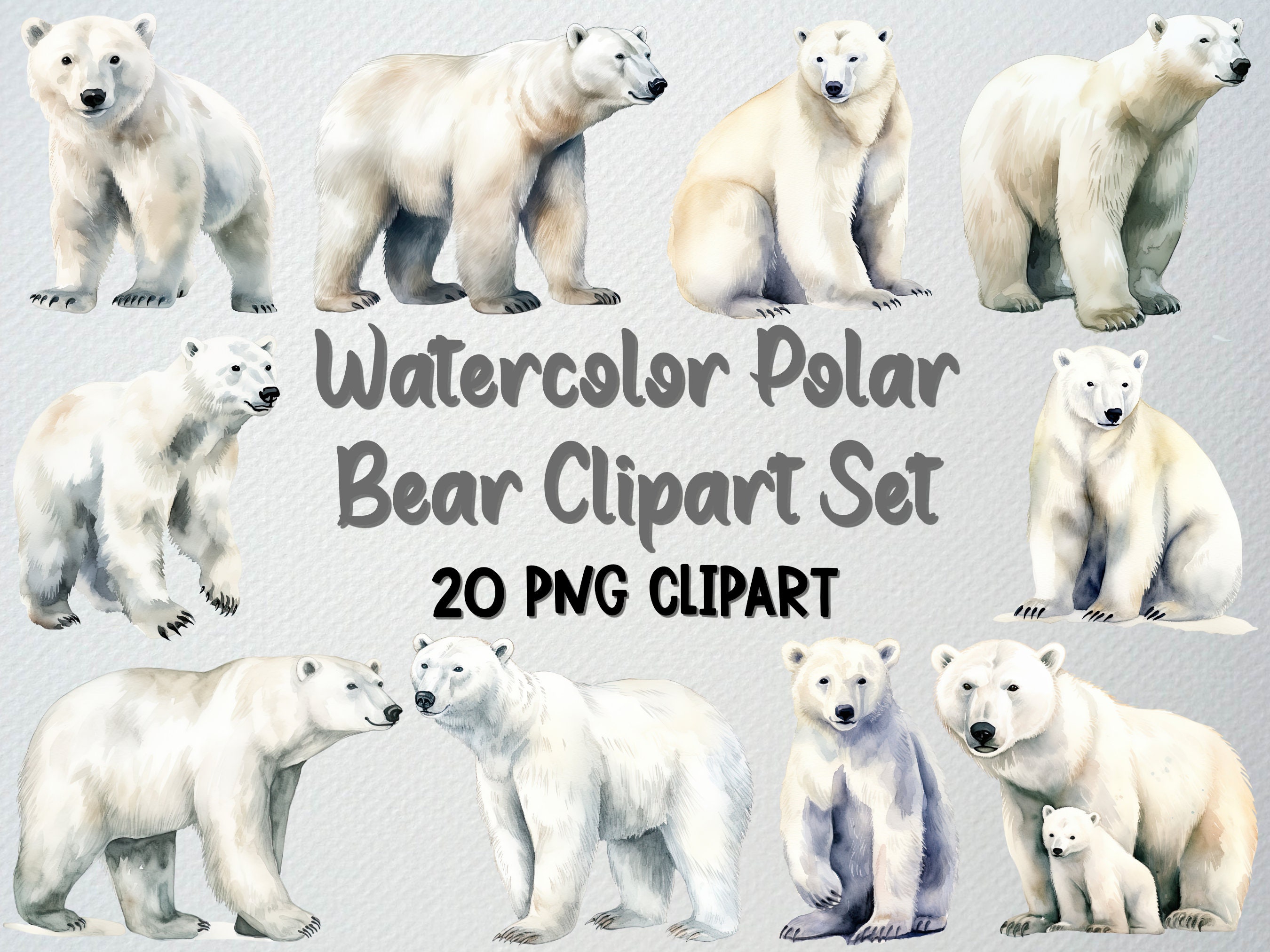 Watercolor Polar Bear Clipart Set of 20 PNG Files, Winter Animals ...