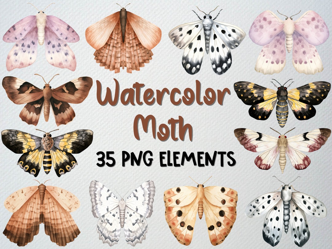 Watercolor Moth Clipart Set of 35 PNG Files, Insects Clipart ...