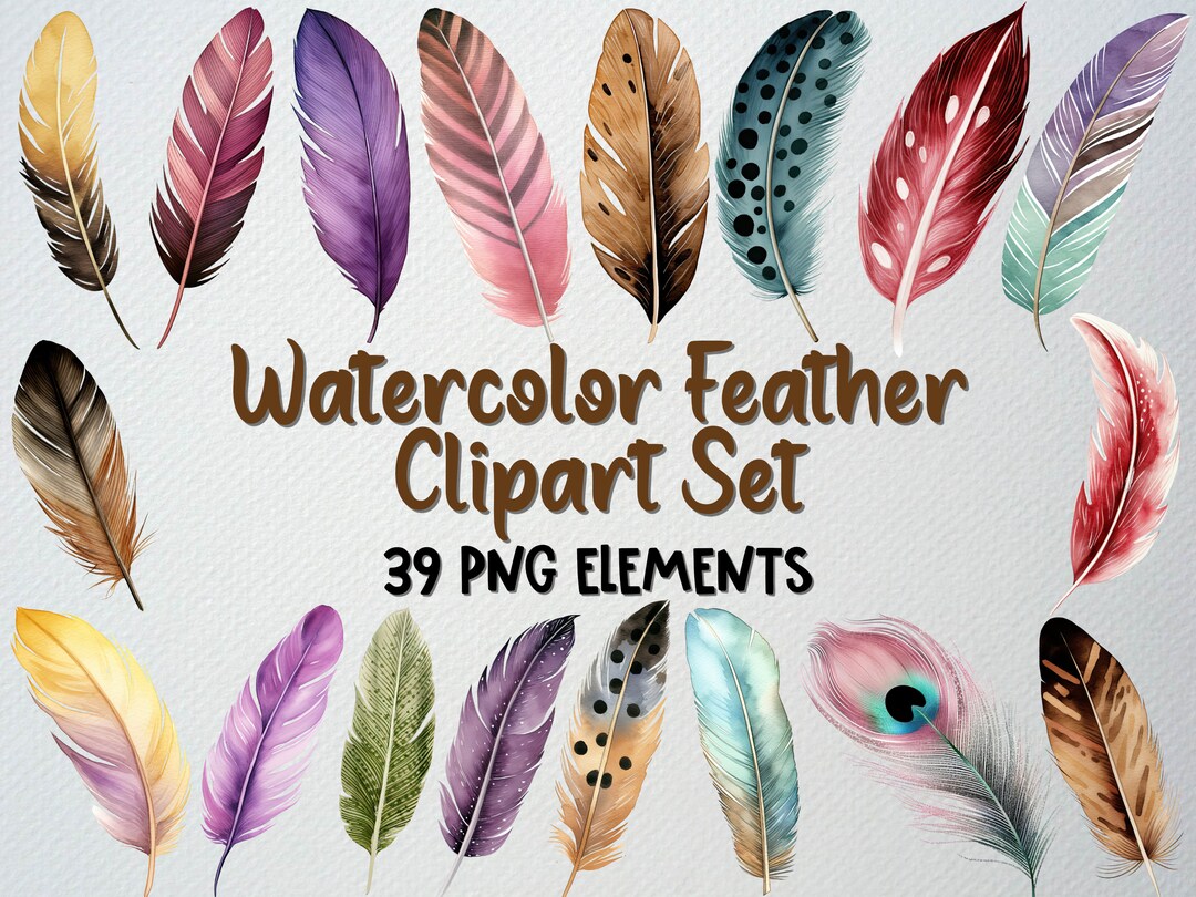 Watercolor Feather Clipart Set of 39 PNG Files, Bird Feather Clipart ...