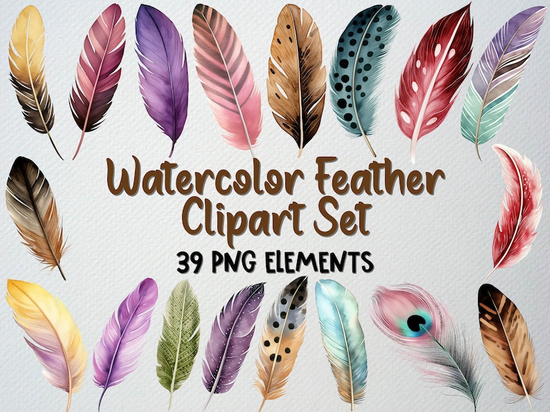 Watercolor Feather Clipart Set of 39 PNG Files, Bird Feather Clipart ...