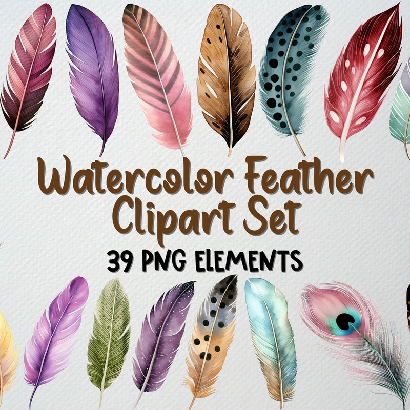 Feather Illustration - Etsy