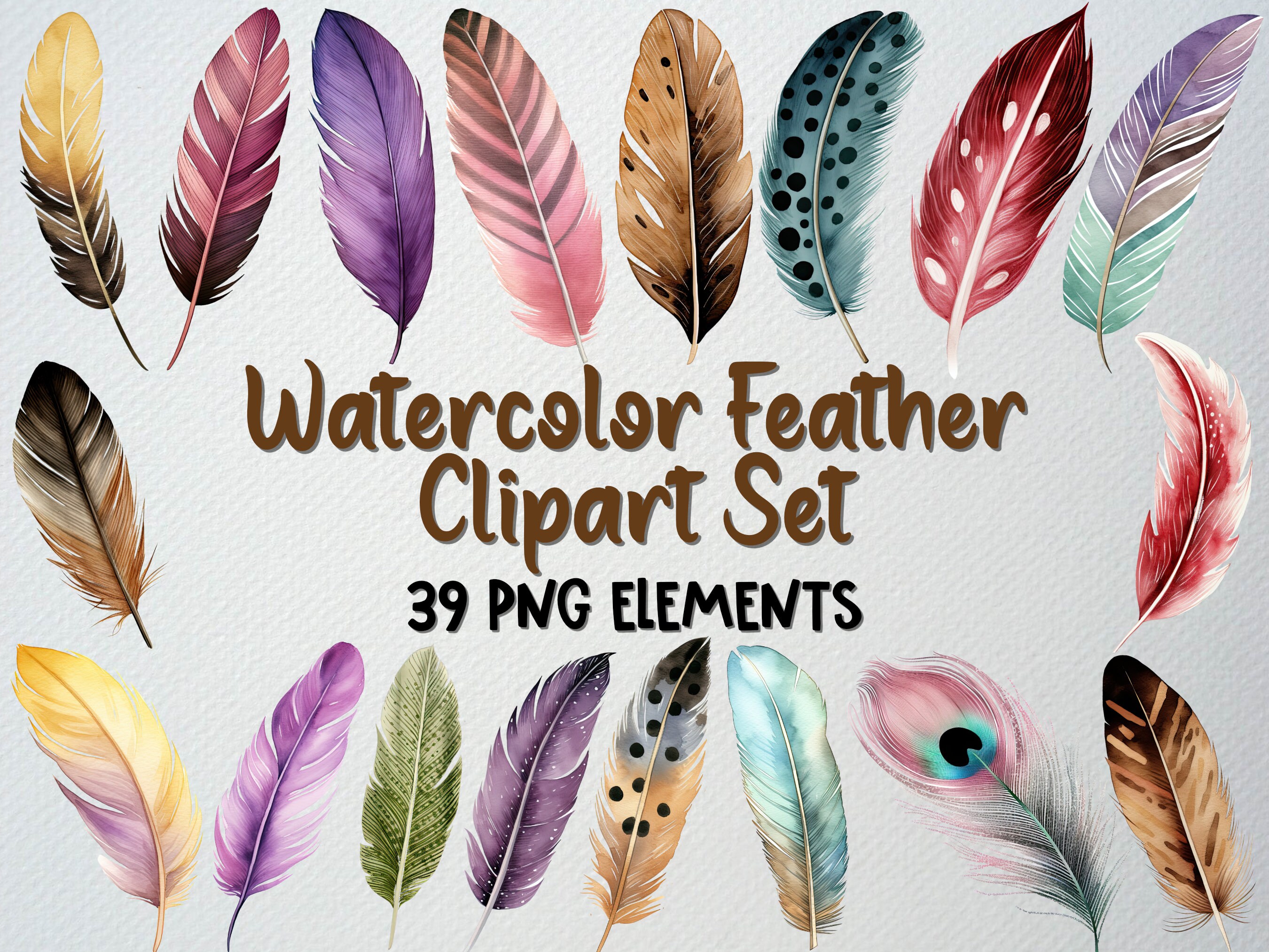 Watercolor Feather Clipart Set of 39 PNG Files, Bird Feather Clipart ...