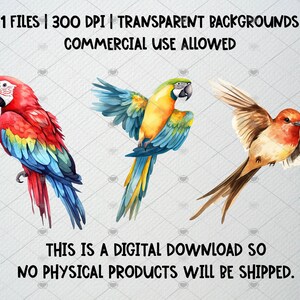 Watercolor Birds Clipart Set of 71 PNG Files, Cute Bird Clipart, Bird ...