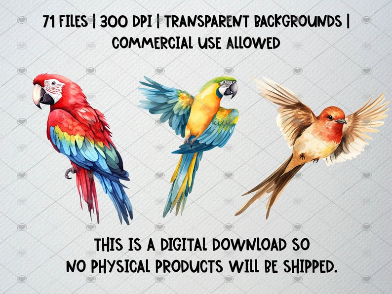 Watercolor Birds Clipart Set of 71 PNG Files, Cute Bird Clipart, Bird ...