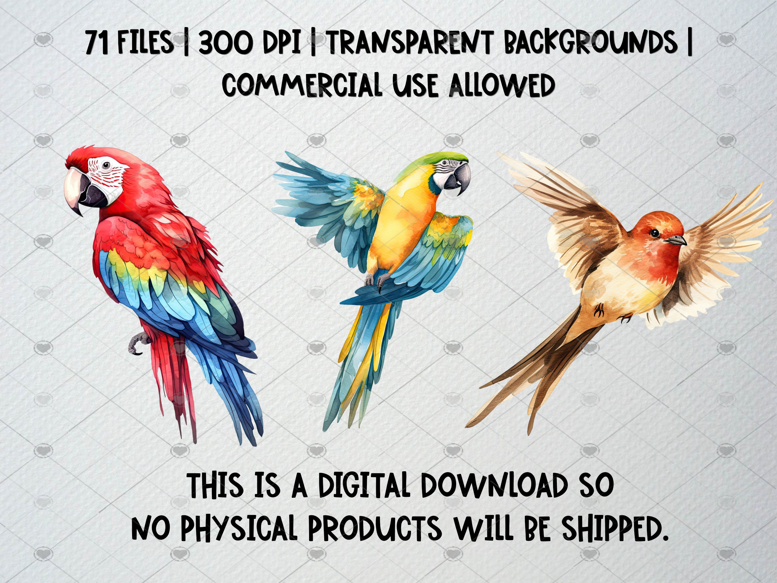 Watercolor Birds Clipart Set of 71 PNG Files, Cute Bird Clipart, Bird ...