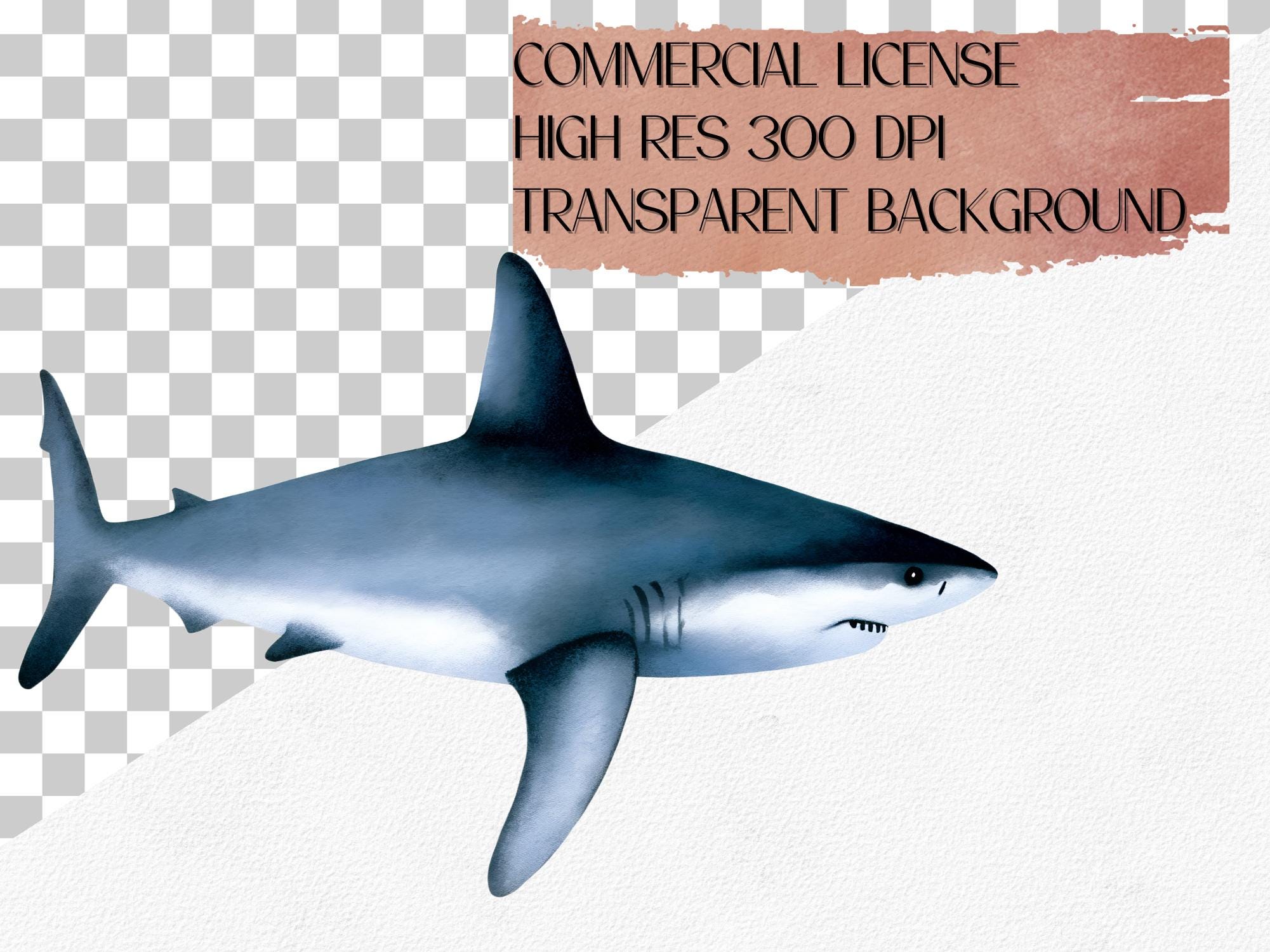 Watercolor Shark Clipart Set of 23 PNG, Cute Shark PNG, Ocean Animal ...