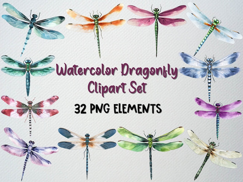 Watercolor Dragonfly Clipart Set of 32 PNG Files, Insect Clipart ...