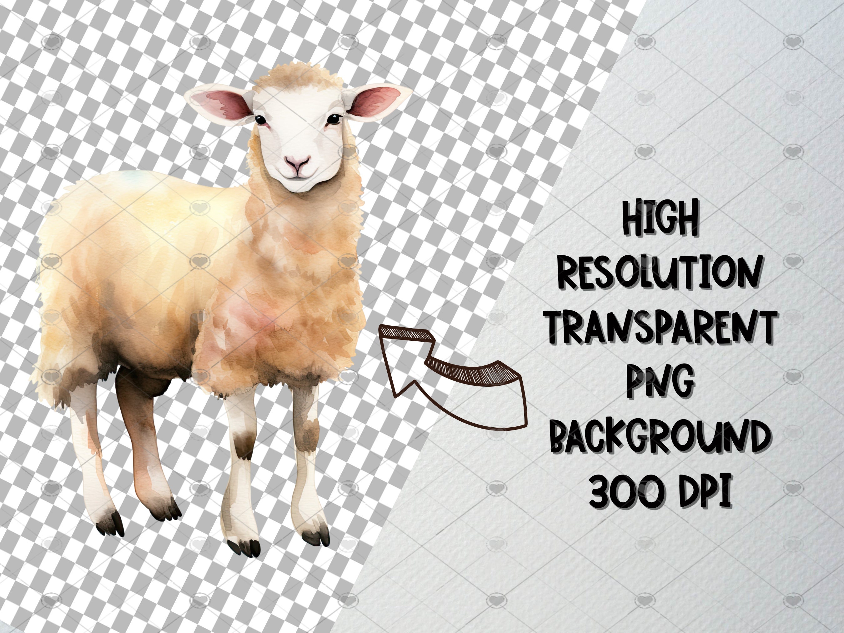 Watercolor Sheep Clipart Set of 45 PNG Files, Lamb Clipart, Sheep ...