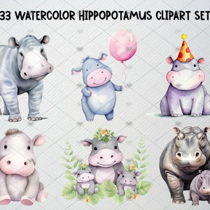 Watercolor Hippo Clipart Set of 33 PNG, Hippopotamus Clipart, Baby ...