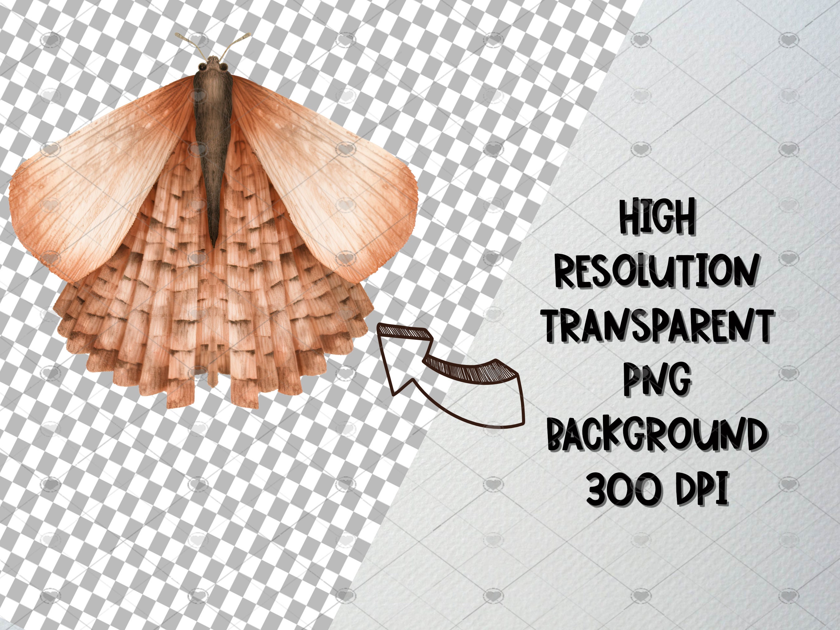 Watercolor Moth Clipart Set of 35 PNG Files, Insects Clipart ...