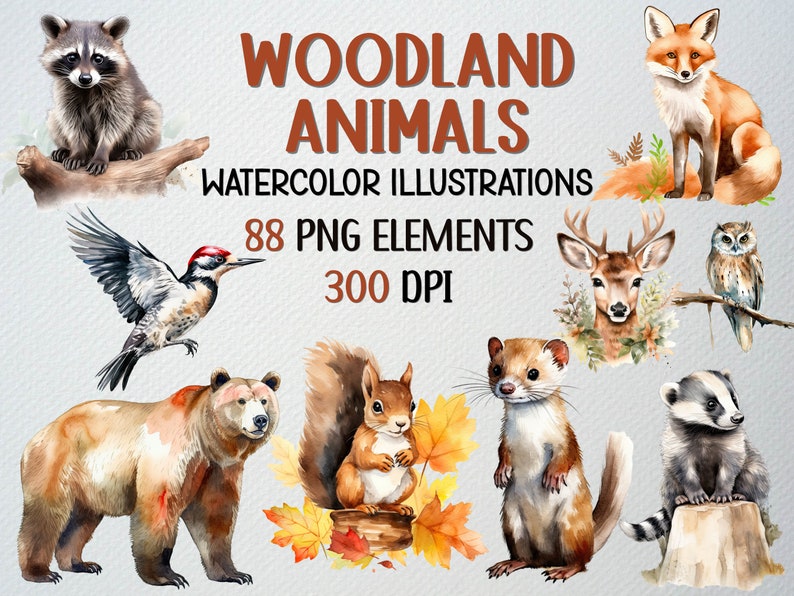 Woodland Animals Clipart Watercolor Forest Animals Clip Art - Etsy
