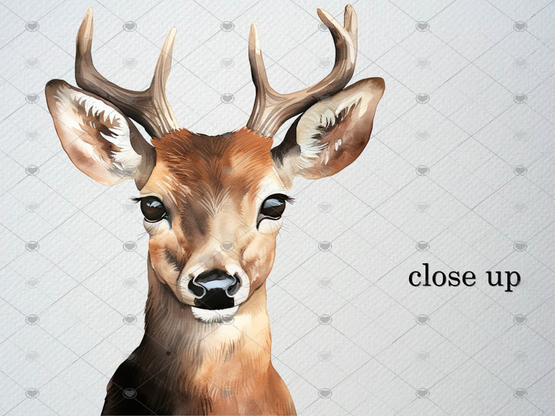 Watercolor Deer Clipart Set of 34 PNG Files, Baby Deer Clipart, Deer ...