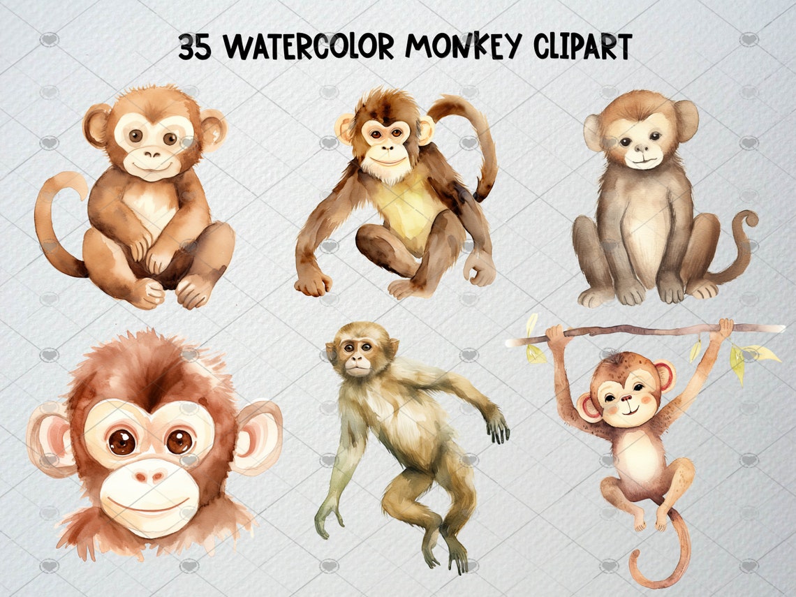 Watercolor Monkey Clipart Set of 35 PNG Files, Cute Monkey Clipart, Zoo ...