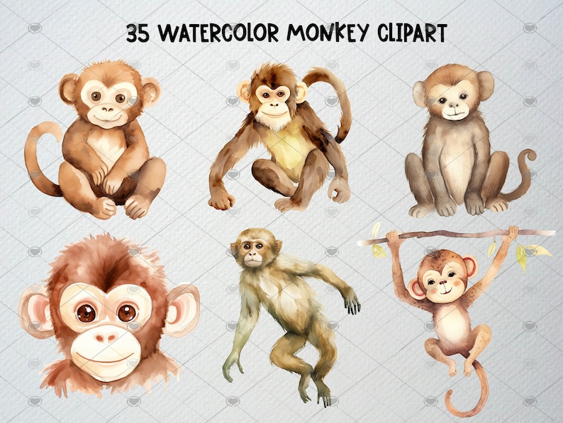 Watercolor Monkey Clipart Set of 35 PNG Files, Cute Monkey Clipart, Zoo ...