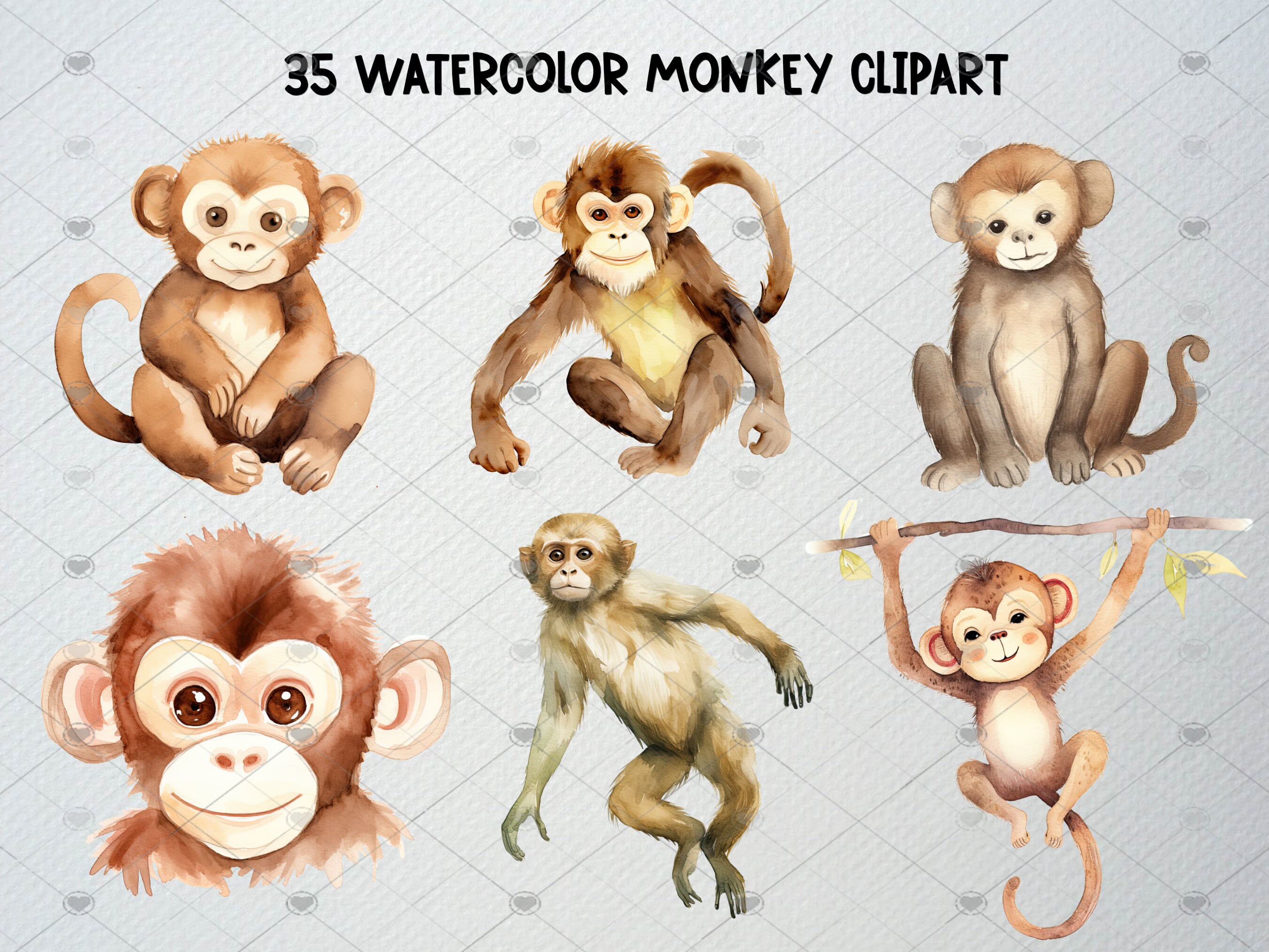 Watercolor Monkey Clipart Set of 35 PNG Files, Cute Monkey Clipart, Zoo ...