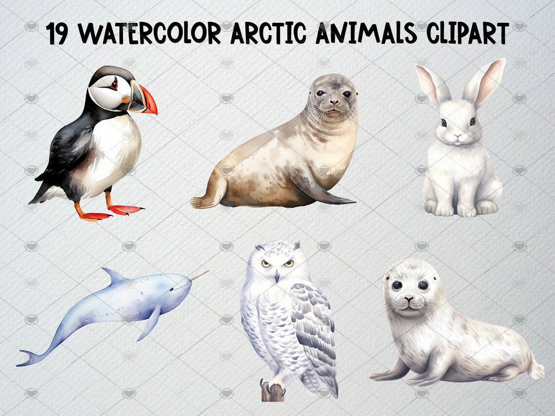 Watercolor Arctic Animals Clipart Set of 19 PNG Files, Winter Clipart ...