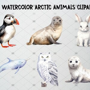 Watercolor Arctic Animals Clipart Set of 19 PNG Files, Winter Clipart ...