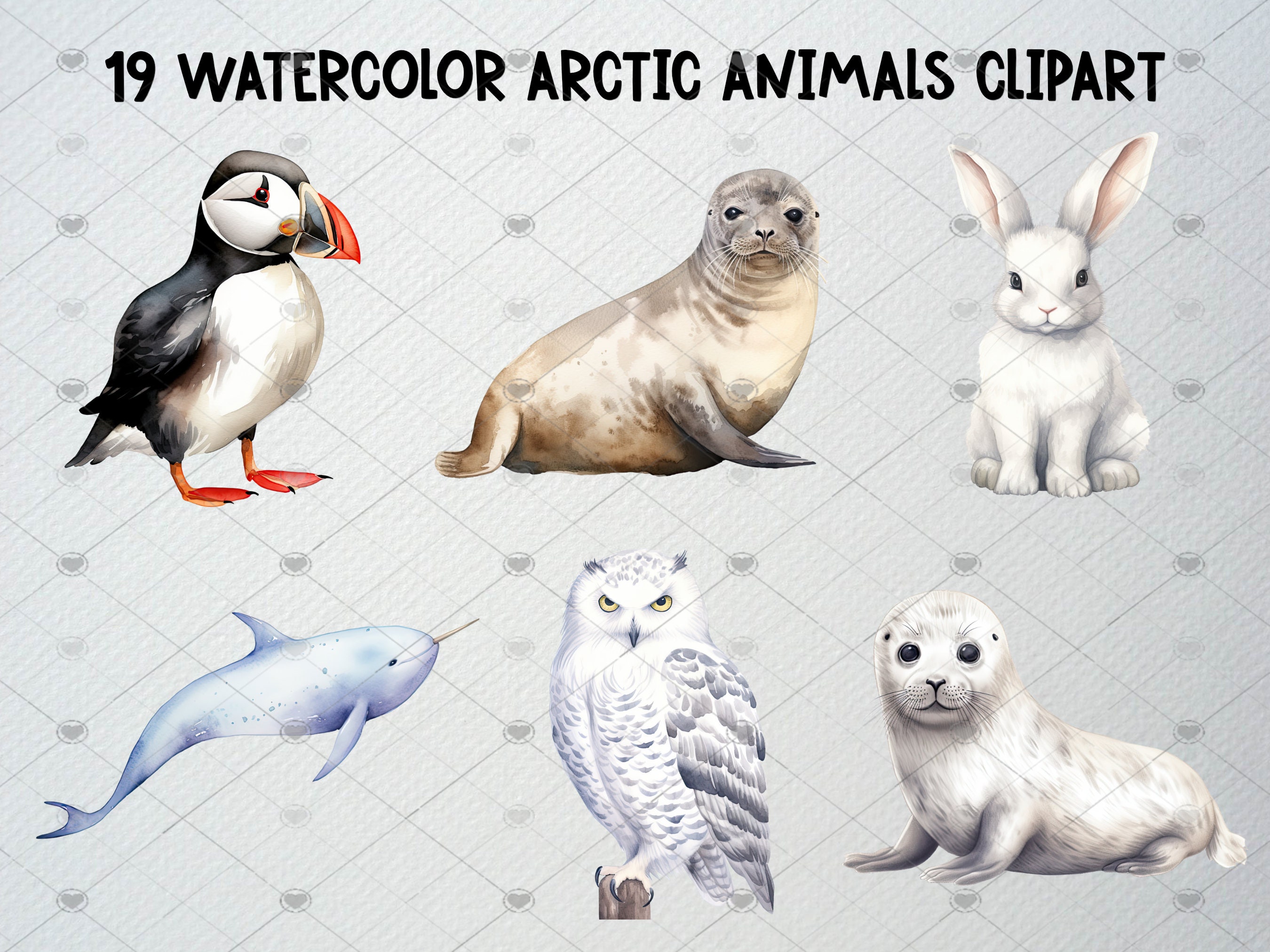 Watercolor Arctic Animals Clipart Set of 19 PNG Files, Winter Clipart ...