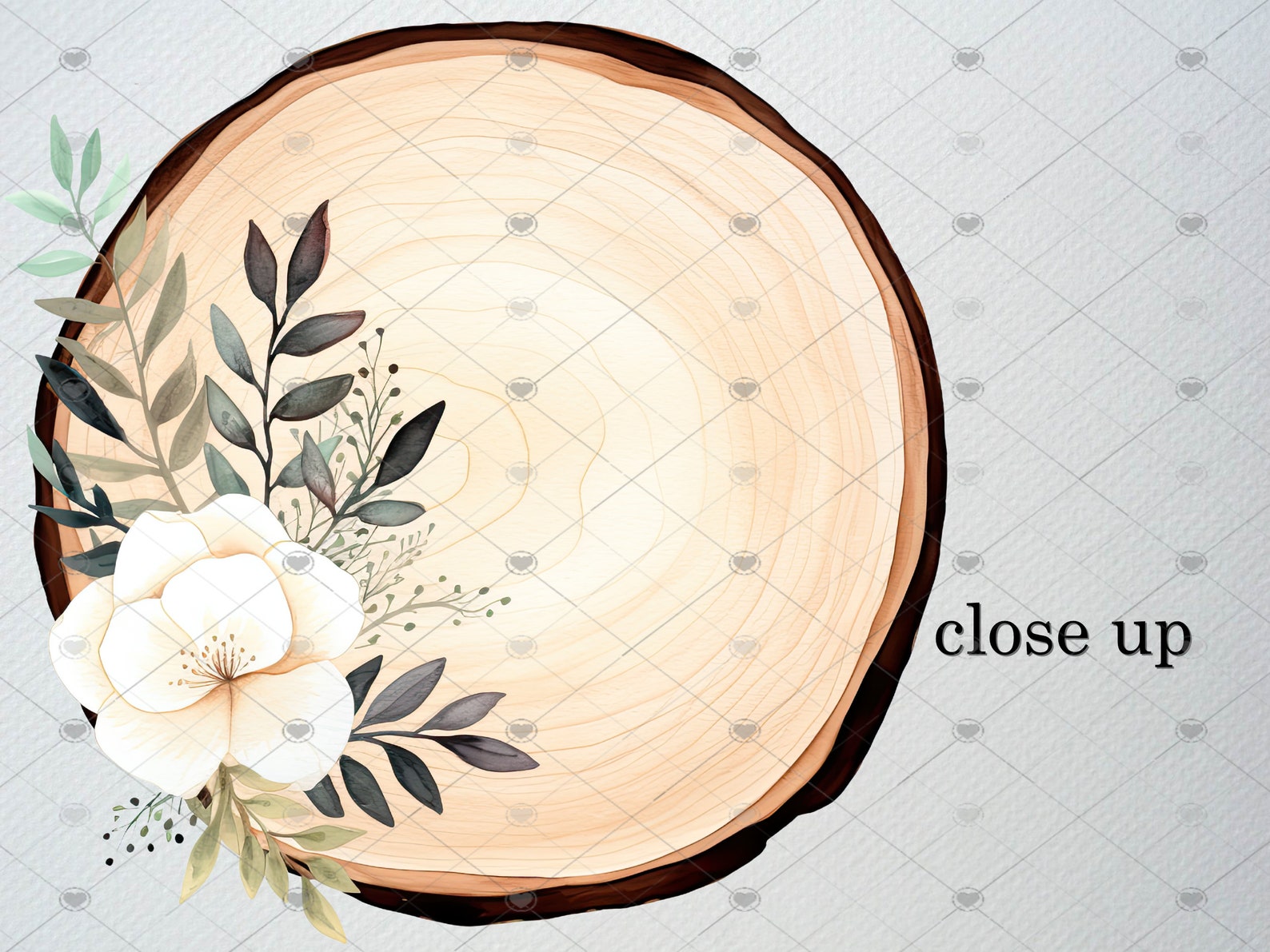 Watercolor Wooden Slices Clipart Set of 27 PNG Files, Floral Wood ...