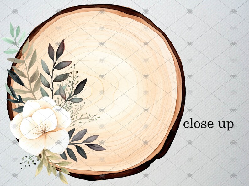 Watercolor Wooden Slices Clipart Set of 27 PNG Files, Floral Wood ...