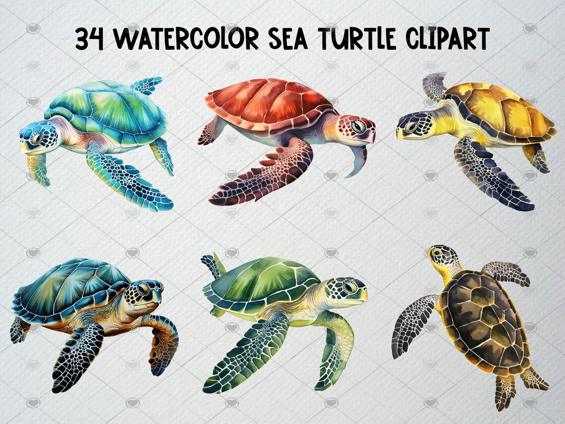 Watercolor Sea Turtle Clipart Set of 34 PNG Files, Underwater Animal ...
