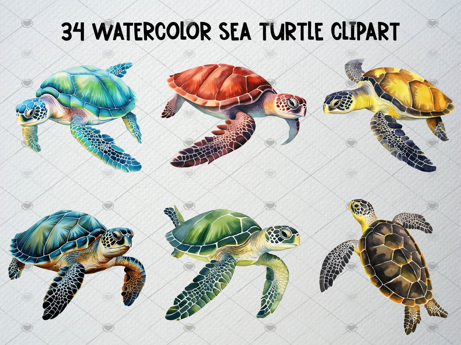 Watercolor Sea Turtle Clipart Set of 34 PNG Files, Underwater Animal ...