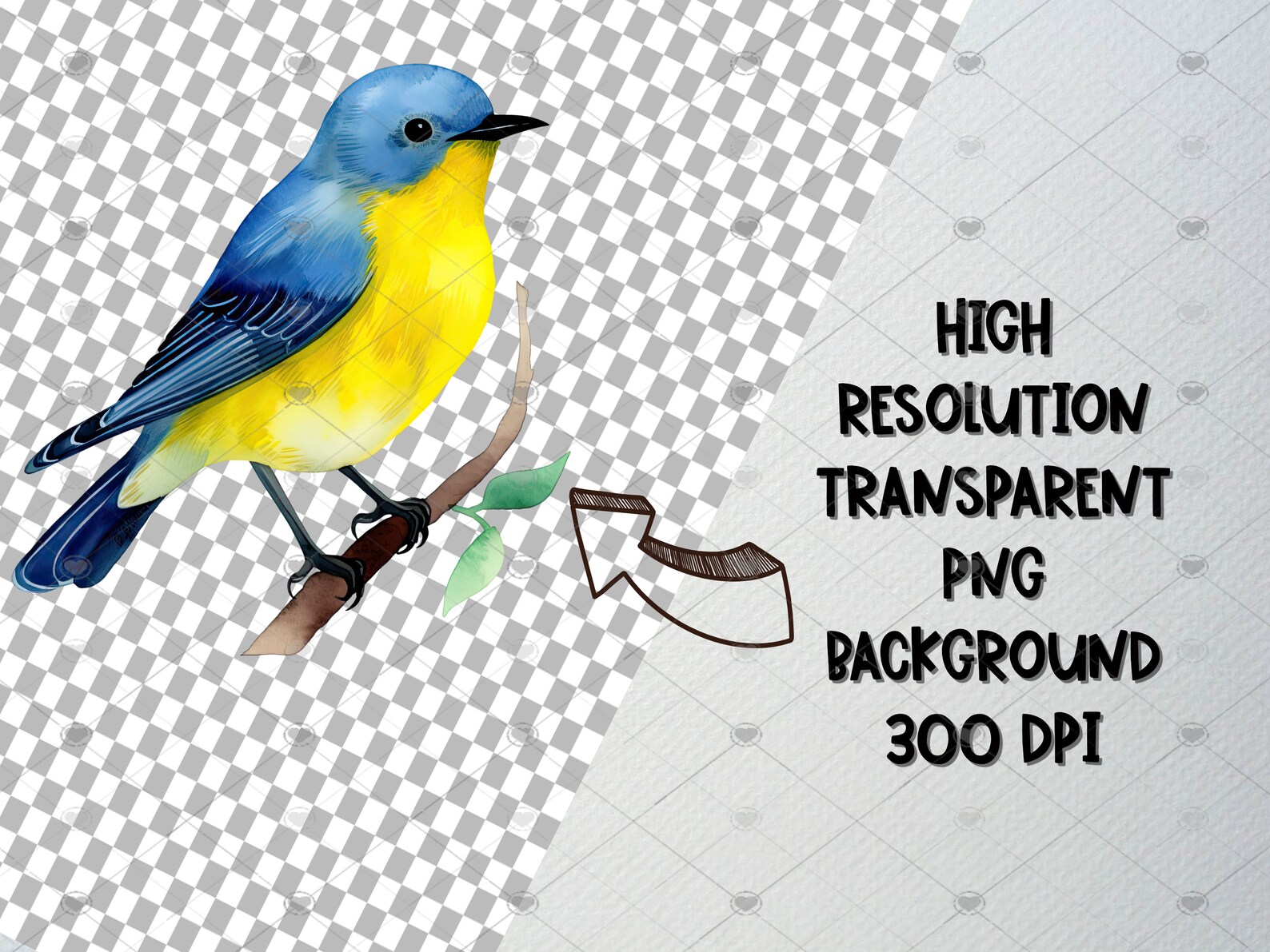 Watercolor Birds Clipart Set of 71 PNG Files, Cute Bird Clipart, Bird ...