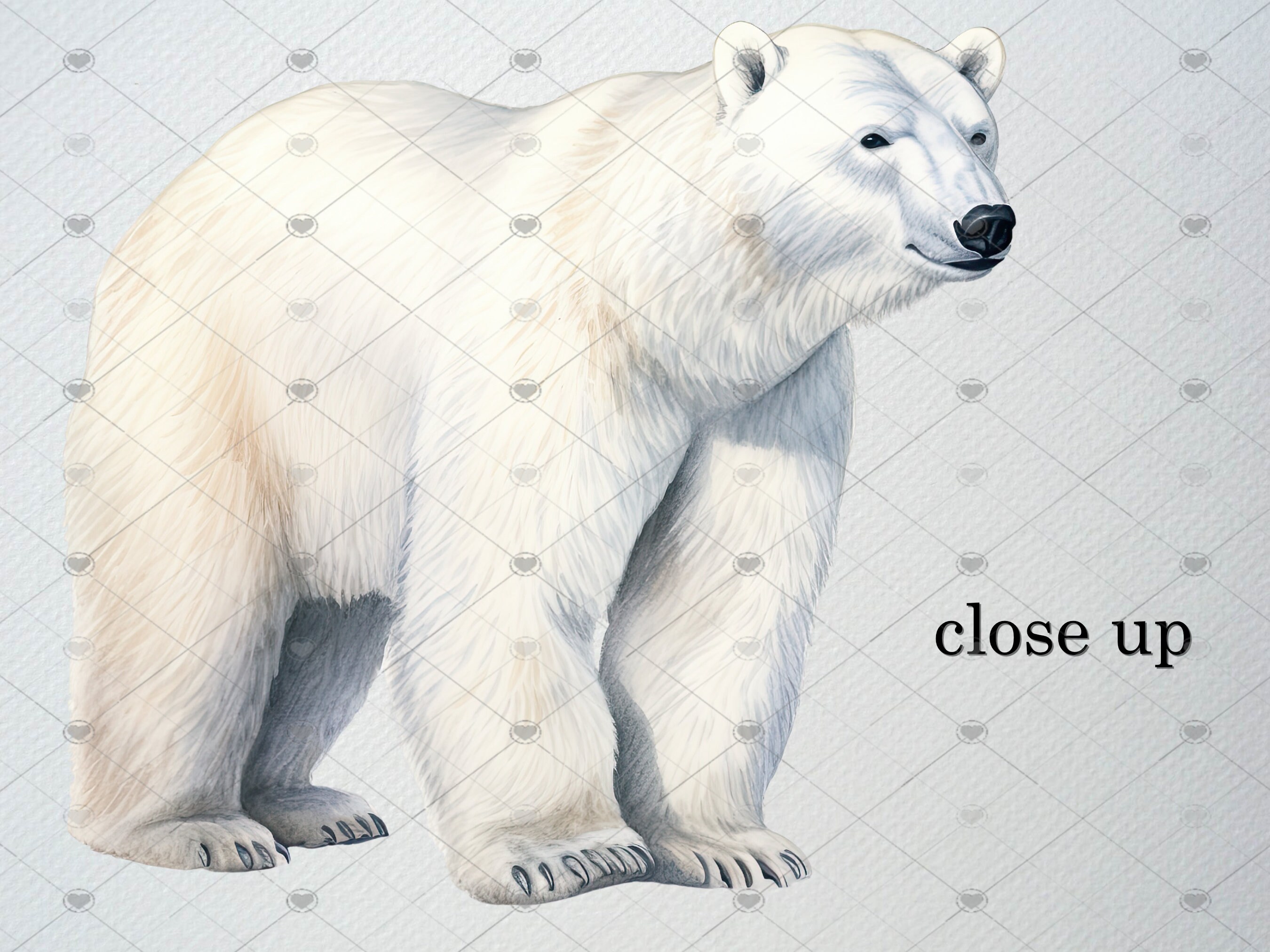 Watercolor Polar Bear Clipart Set of 20 PNG Files, Winter Animals ...