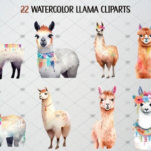 Llama Clipart, Hand Drawn Watercolor Llama Clipart Set of 43 PNG Files ...