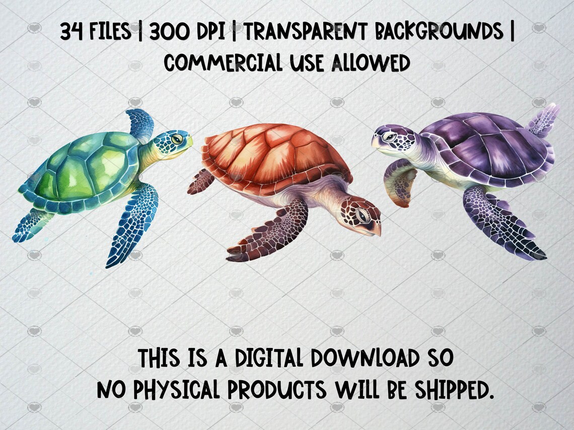 Watercolor Sea Turtle Clipart Set of 34 PNG Files, Underwater Animal ...