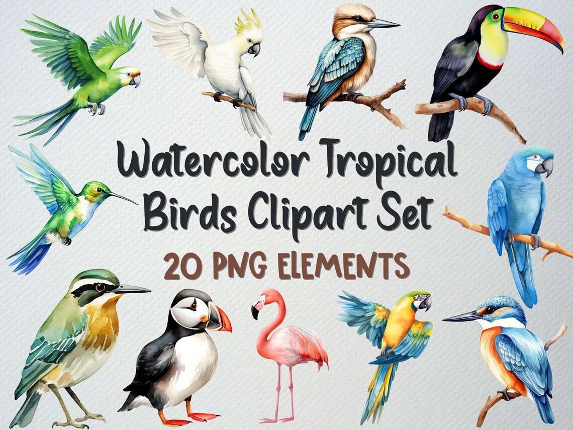Watercolor Tropical Birds Clipart Set, Parrot Clipart, Flamingo Clipart ...