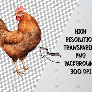 Watercolor Chicken Clipart Set of 42 PNG Files, Rooster Clipart, Hen ...