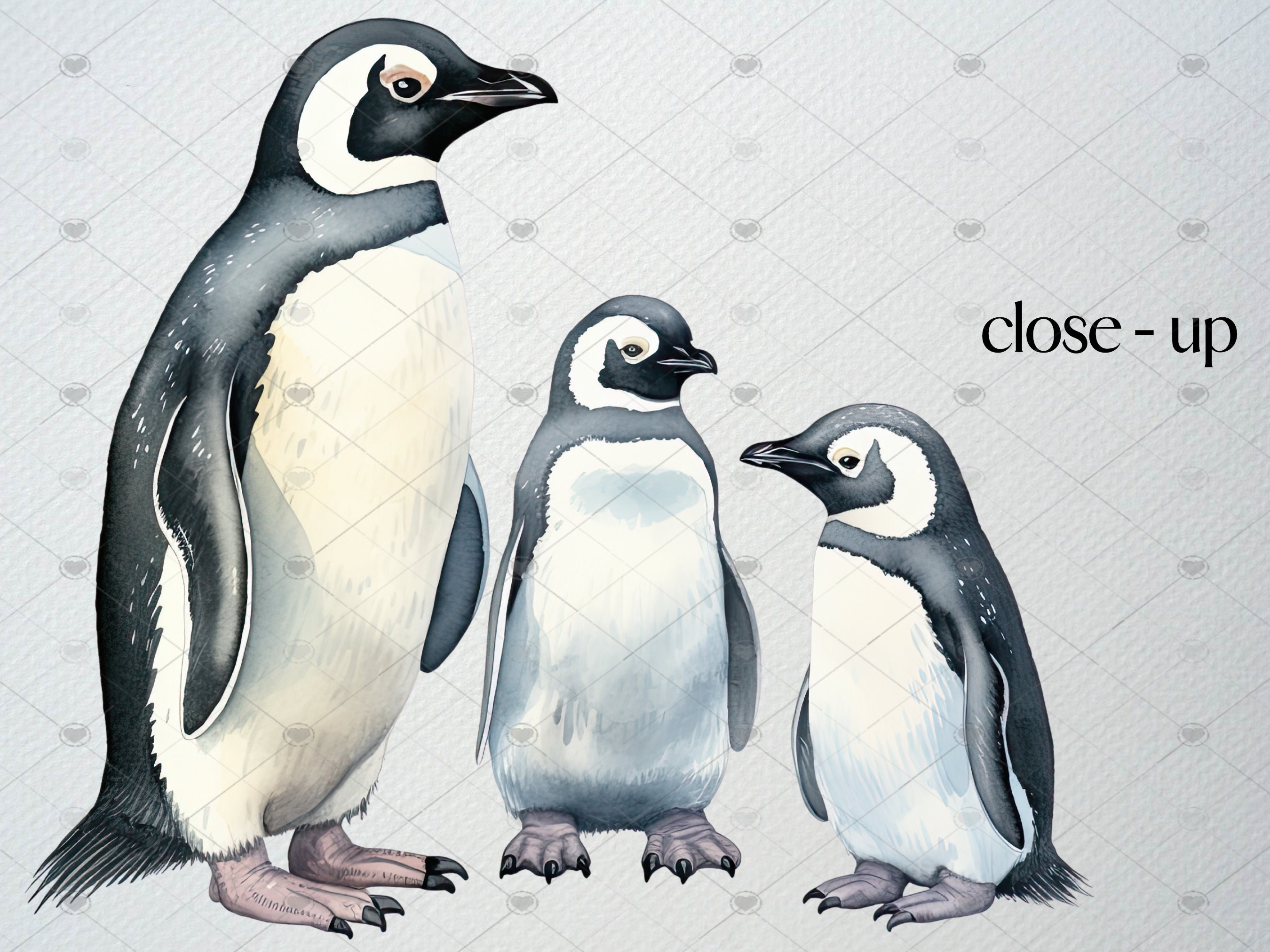 Watercolor Penguin Clipart Set: 56 PNG Files, Commercial License ...