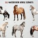 Watercolor Horse Clipart Set of 50 PNG Files, Farm Animal Clipart, Cute ...