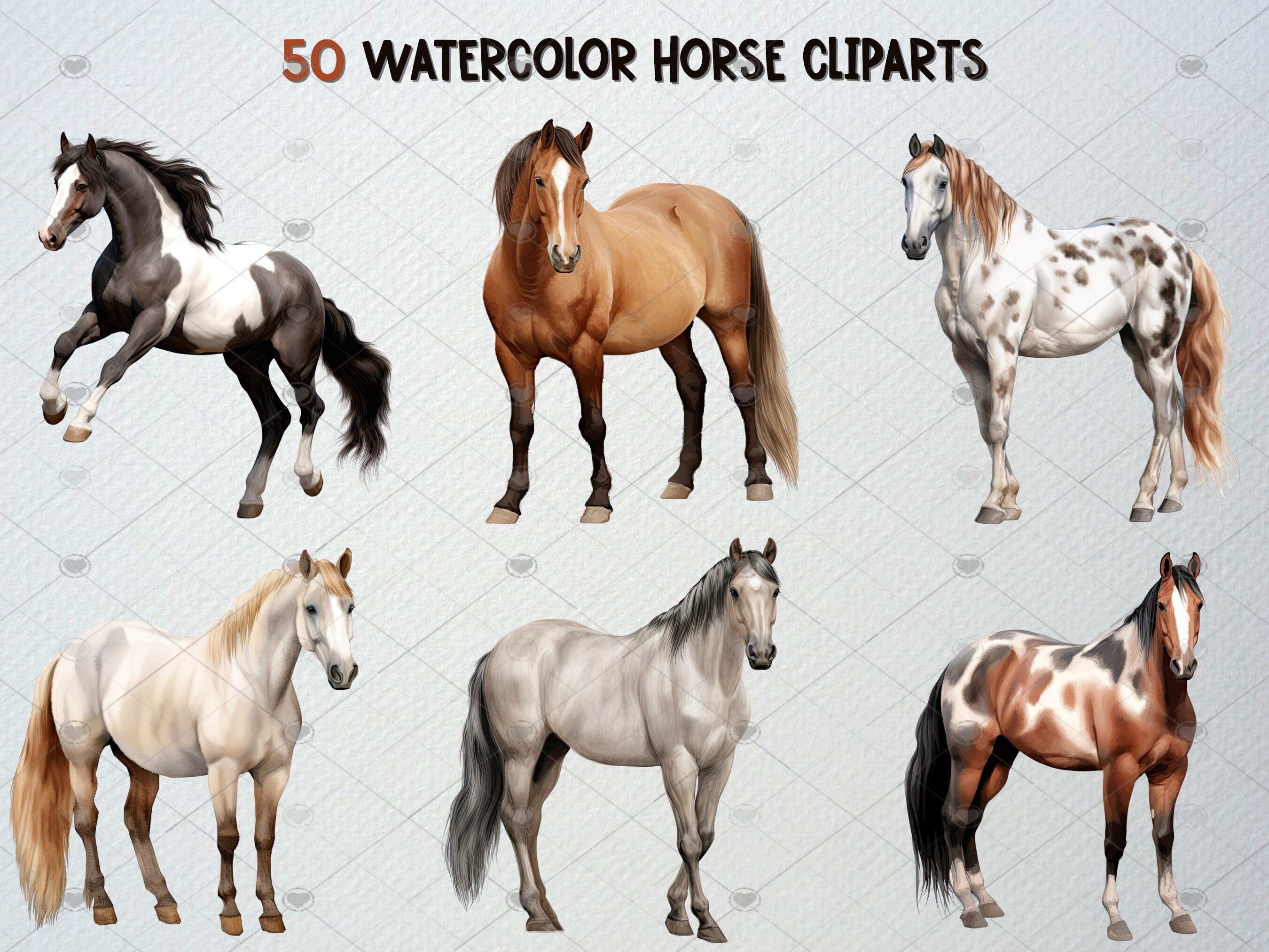 Watercolor Horse Clipart Set of 50 PNG Files, Farm Animal Clipart, Cute ...