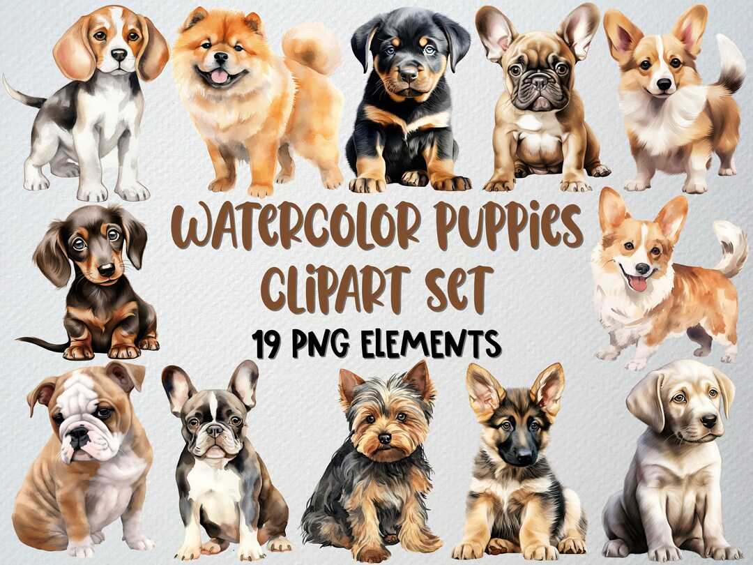 Watercolor Puppies Clipart Set of 19 PNG Files, Cute Puppy Clipart, Pet ...