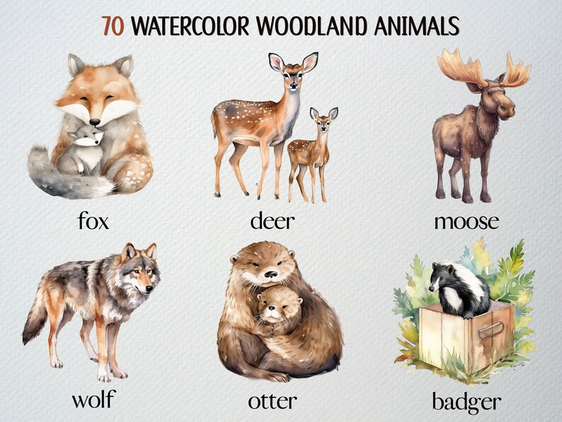 Woodland Animals Clipart Watercolor Forest Animals Clip Art - Etsy