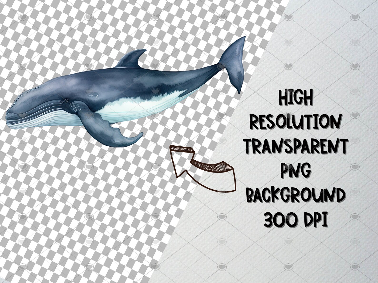 Watercolor Arctic Animals Clipart Set of 19 PNG Files, Winter Clipart ...