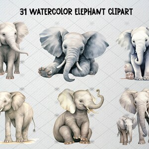 Watercolor Elephant Clipart Set of 31 PNG Files, Elephant Illustration ...