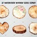 Watercolor Wooden Slices Clipart Set of 27 PNG Files, Floral Wood ...