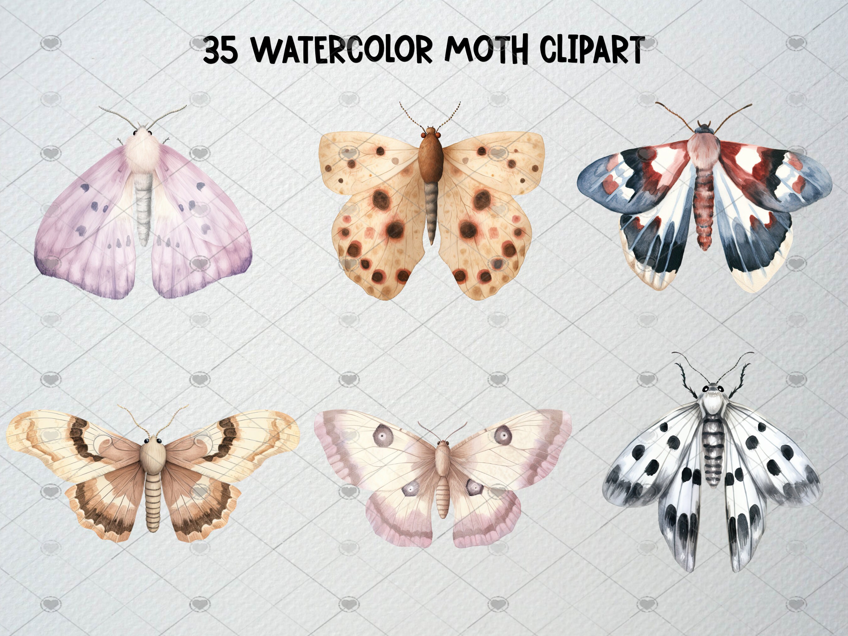 Watercolor Moth Clipart Set of 35 PNG Files, Insects Clipart ...