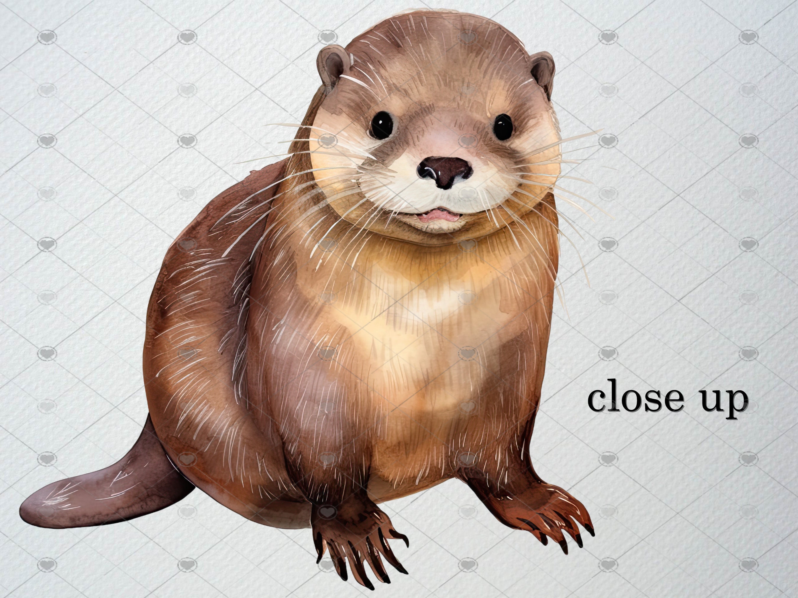 Watercolor Otter Clipart Set of 37 PNG, Cute Otter Clipart, Sea Otter ...