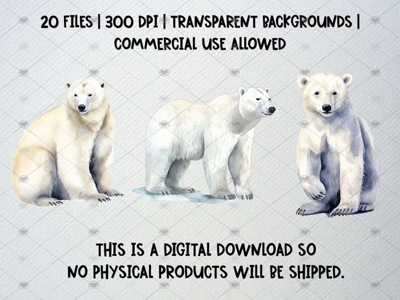 Watercolor Polar Bear Clipart Set of 20 PNG Files, Winter Animals ...