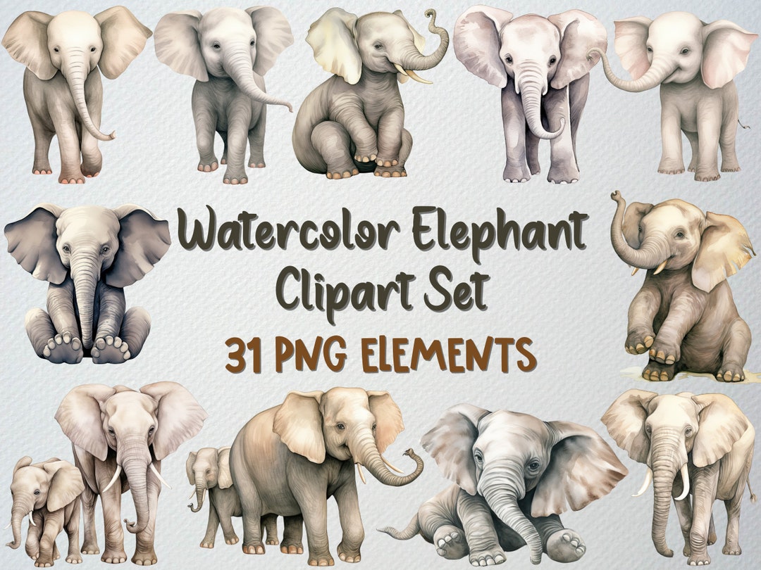 Watercolor Elephant Clipart Set of 31 PNG Files, Elephant Illustration ...