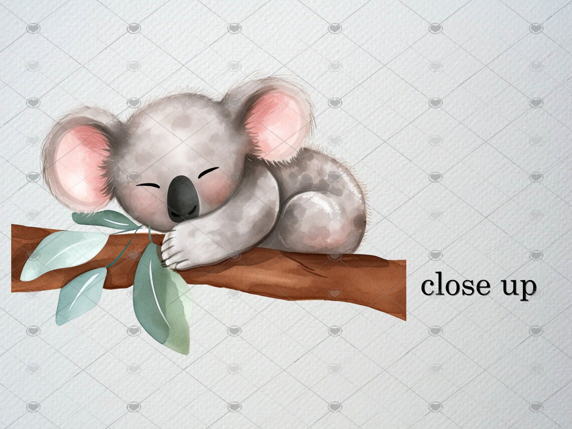 Watercolor Koala Clipart Set of 38 PNG Files, Cute Koala Clipart, Baby ...