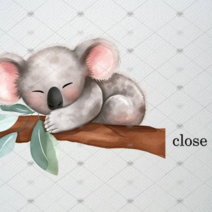 Watercolor Koala Clipart Set: 38 PNG Graphics, Commercial Use - Etsy
