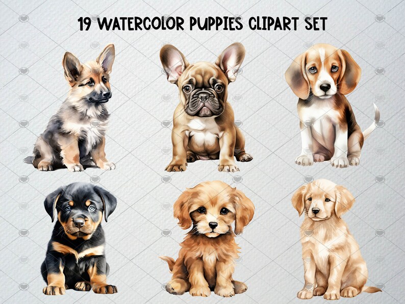 Watercolor Puppies Clipart Set of 19 PNG Files, Cute Puppy Clipart, Pet ...