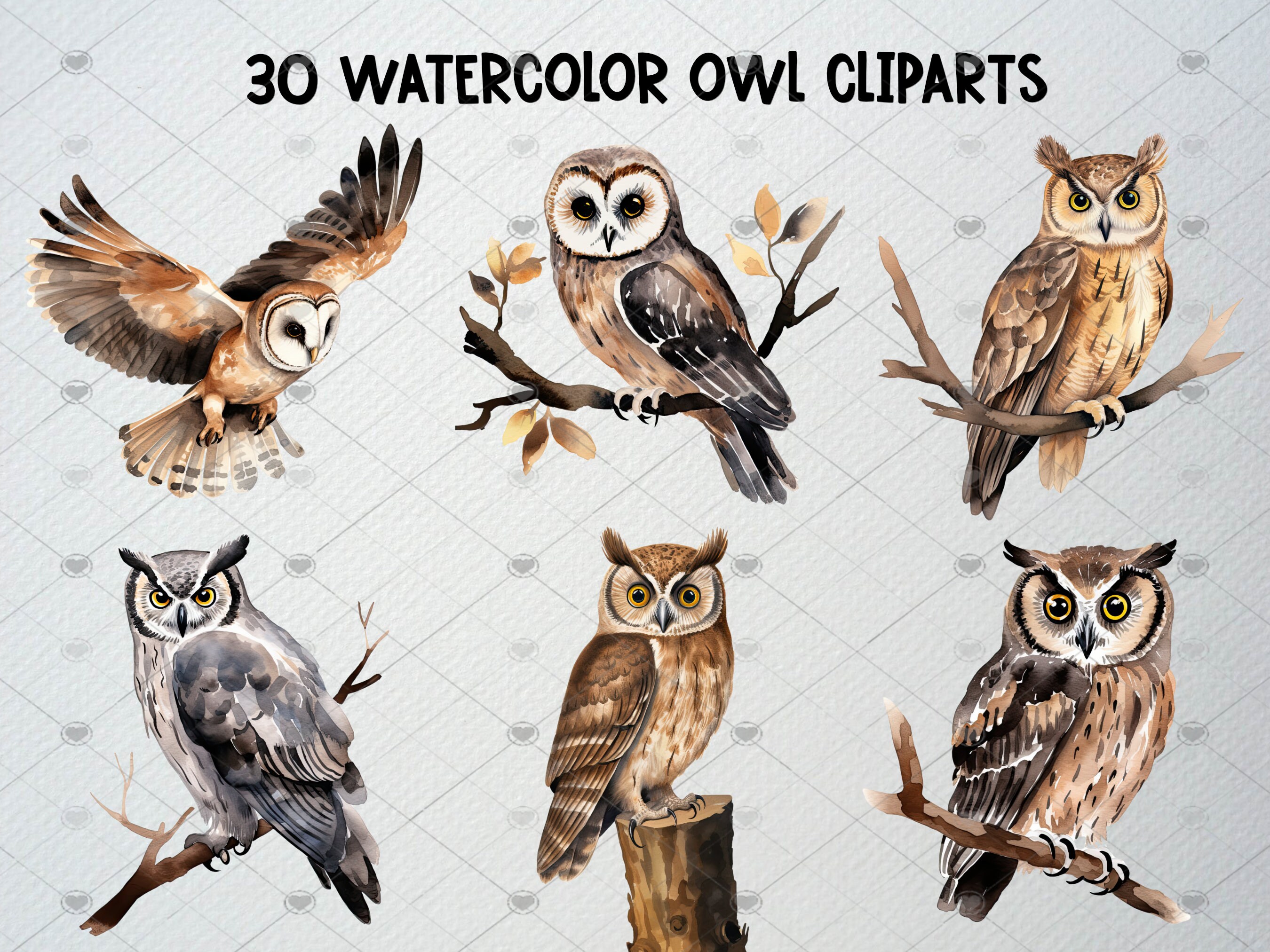 Watercolor Owl Clipart Set of 30 PNG Files, Bird Clipart, Owl ...