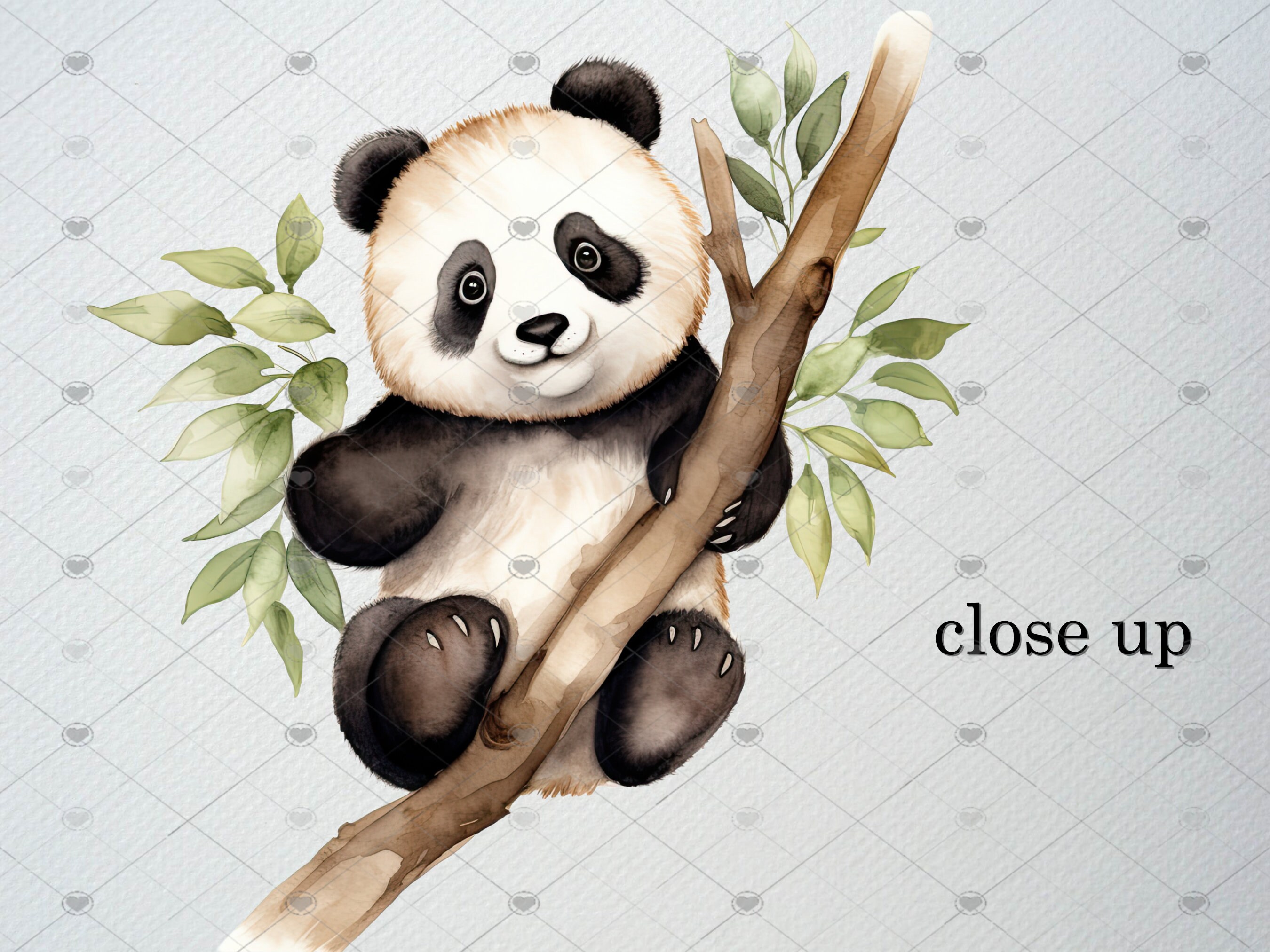 Watercolor Panda Clipart Set of 41 PNG Files, Cute Panda Clipart, Baby ...